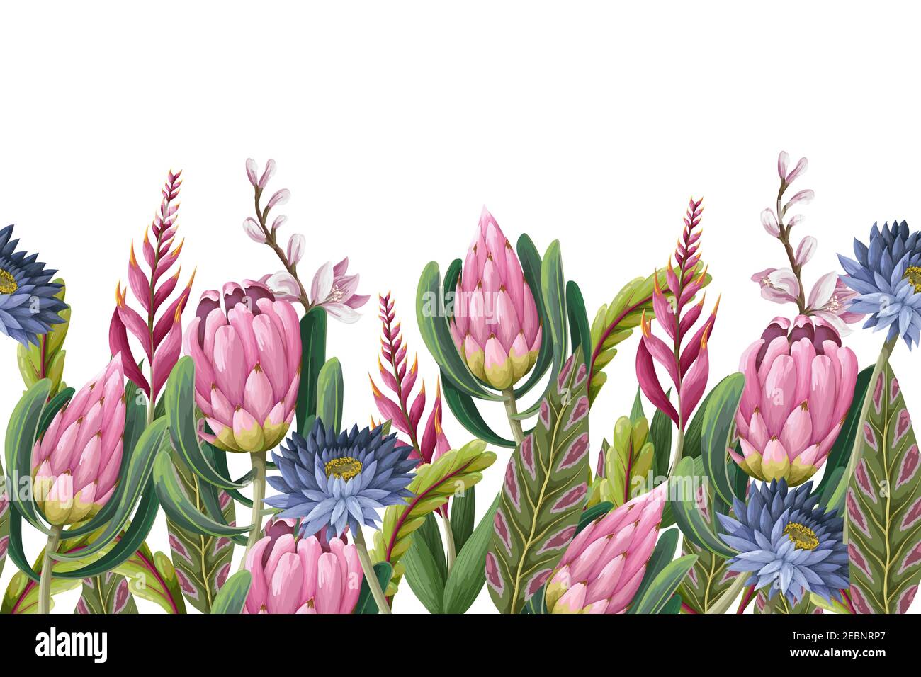 Border with proteas flowers. Trendy floral vector print Stock Vector ...