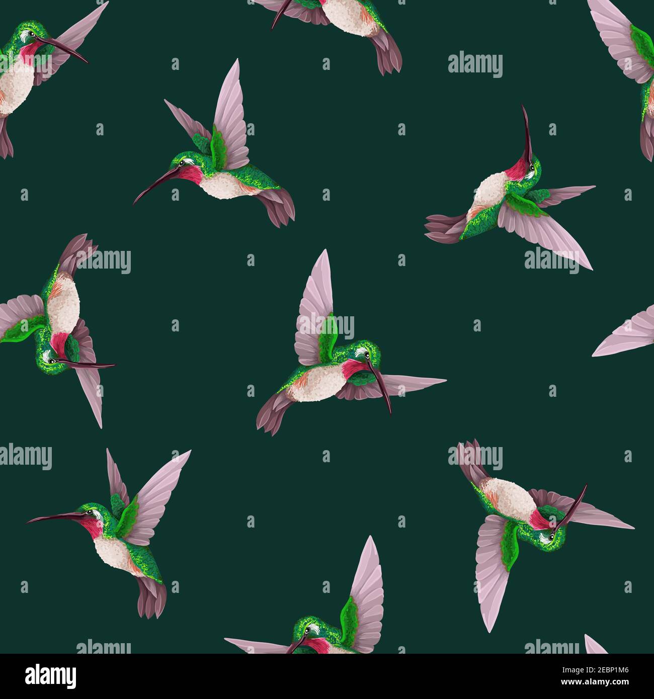 Hummingbird drawing hi-res stock photography and images - Alamy