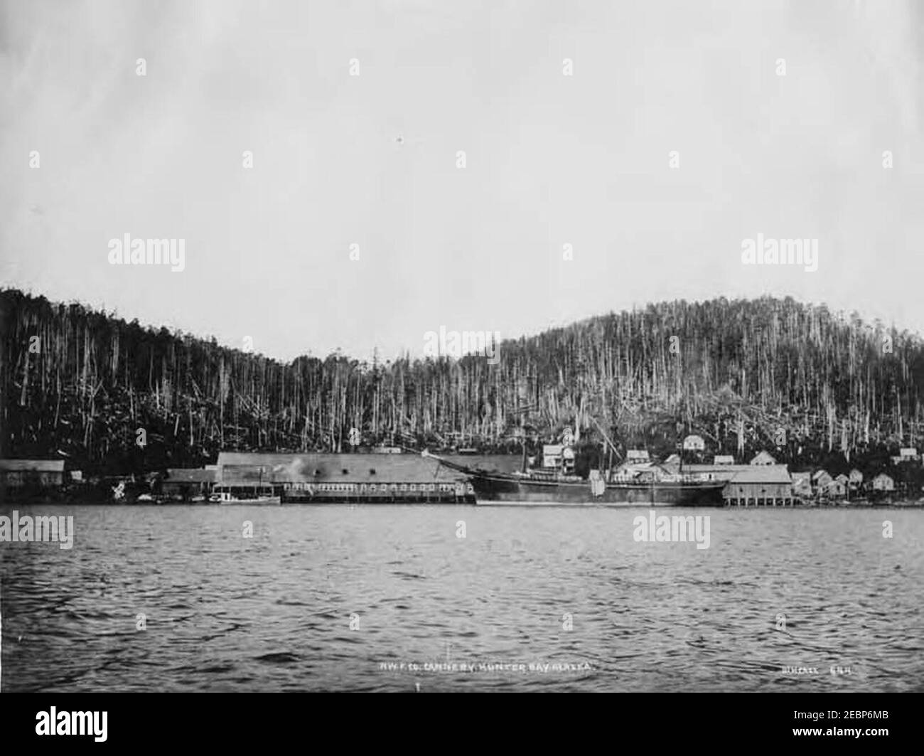 NWF Company plant and ship from water, Hunter Bay, Alaska, circa 1908 ...