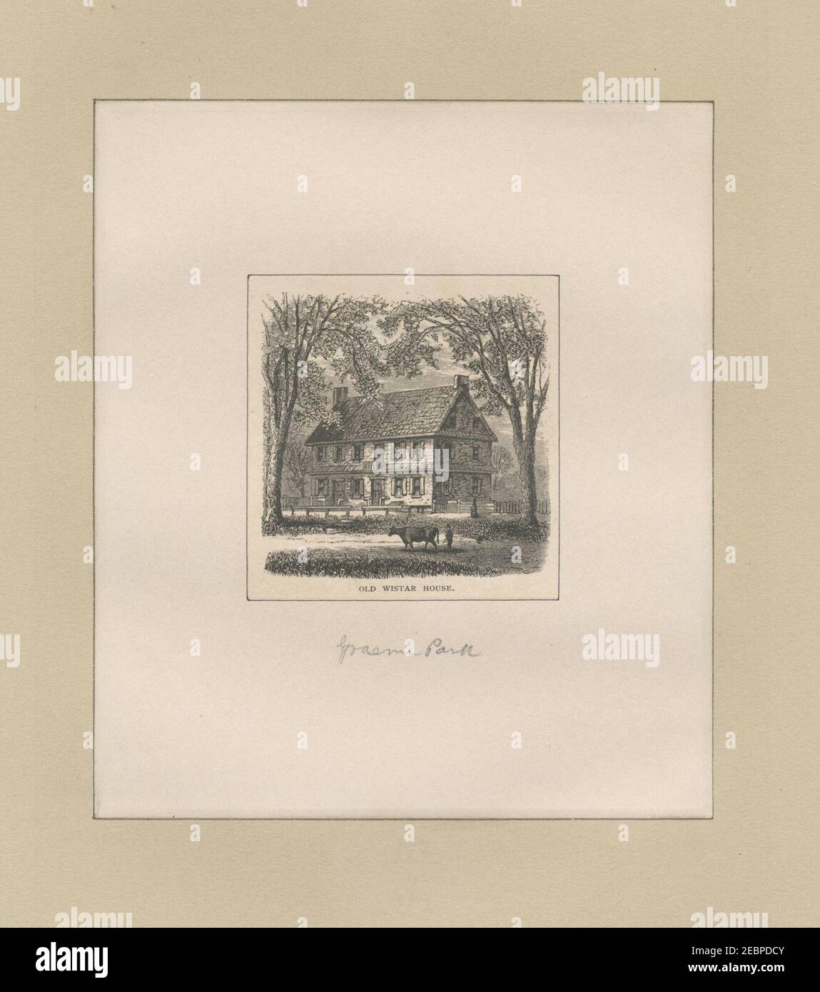 Wistar hi-res stock photography and images - Alamy