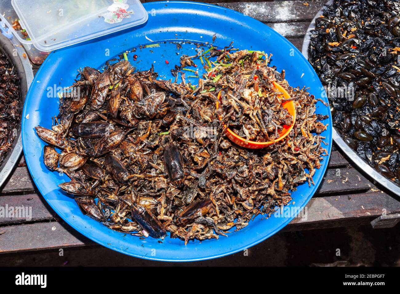 Vietnam market insects hi-res stock photography and images - Alamy