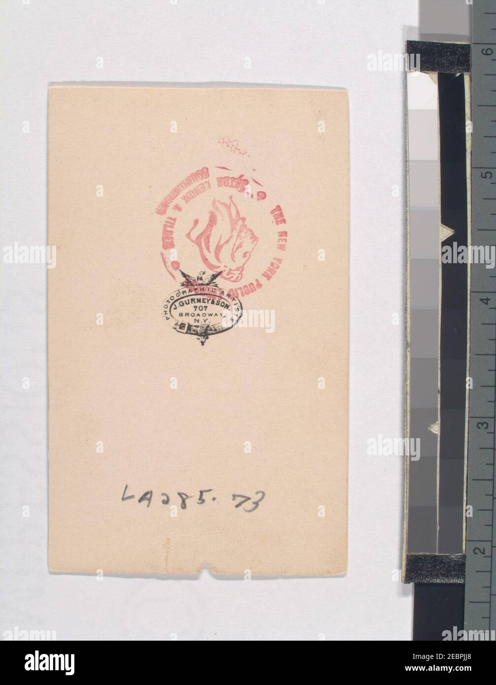 Tieman hi-res stock photography and images - Alamy