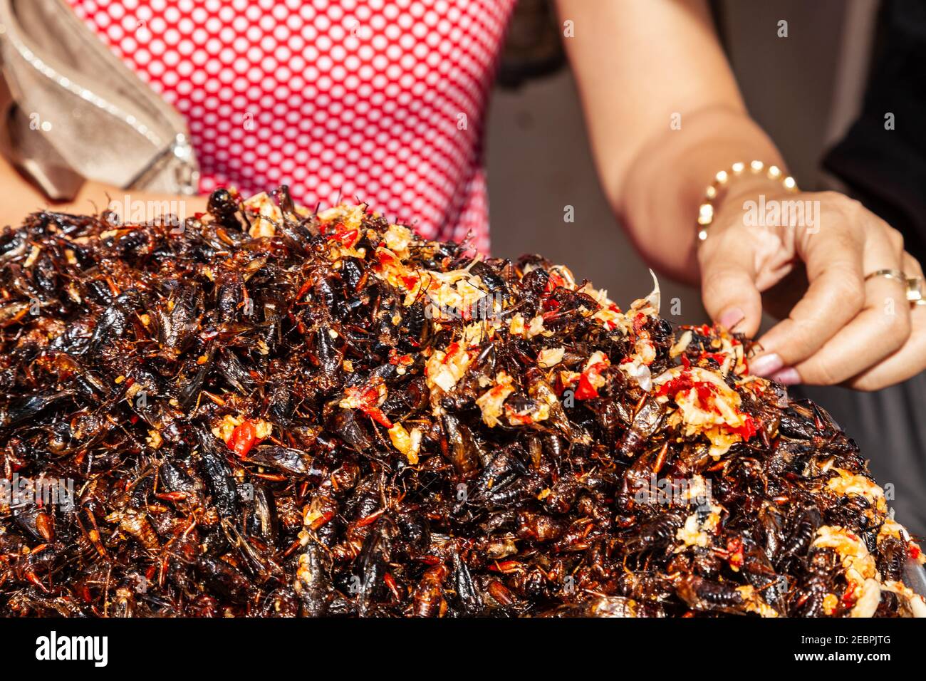 Fried cockroach thailand hi-res stock photography and images - Alamy