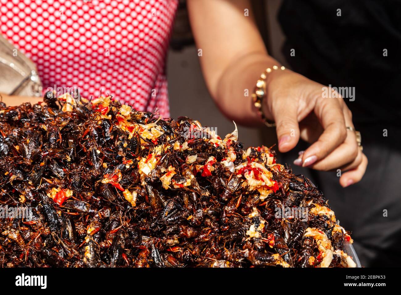 Fried cockroach thailand hi-res stock photography and images - Alamy