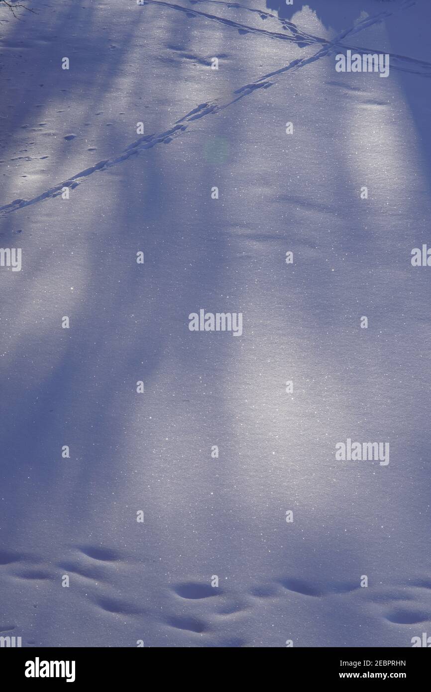 Peace cloud morning hi-res stock photography and images - Alamy