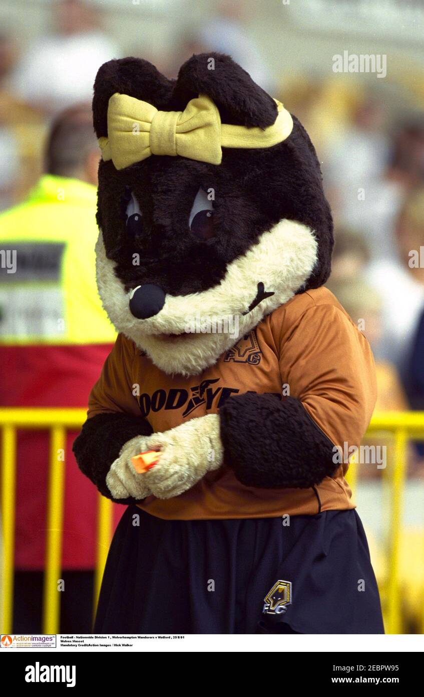 Wolves Mascot High Resolution Stock Photography and Images - Alamy