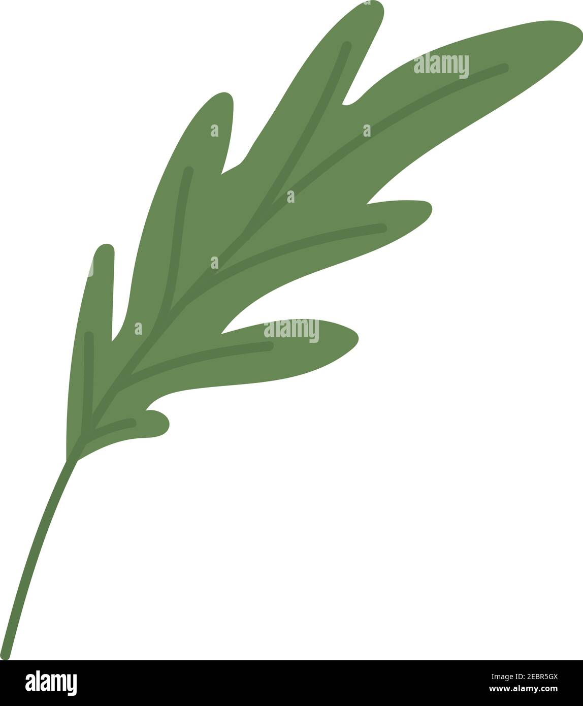 leaf of green color with stem in a white background Stock Vector Image ...