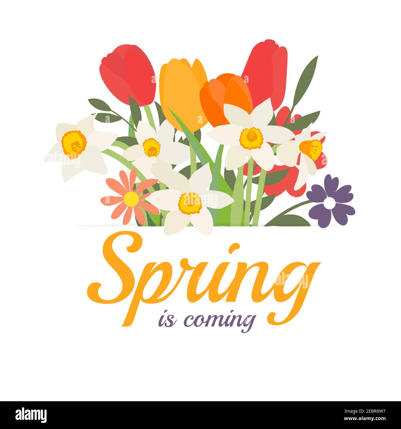 Spring is coming background with Bouquet of spring flowers tulips and ...