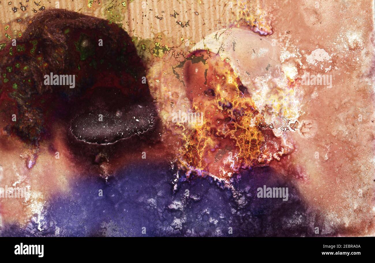 MODEL RELEASE EI-0173 ©1994 Mother, 37, holding Anglo baby (13 months ...