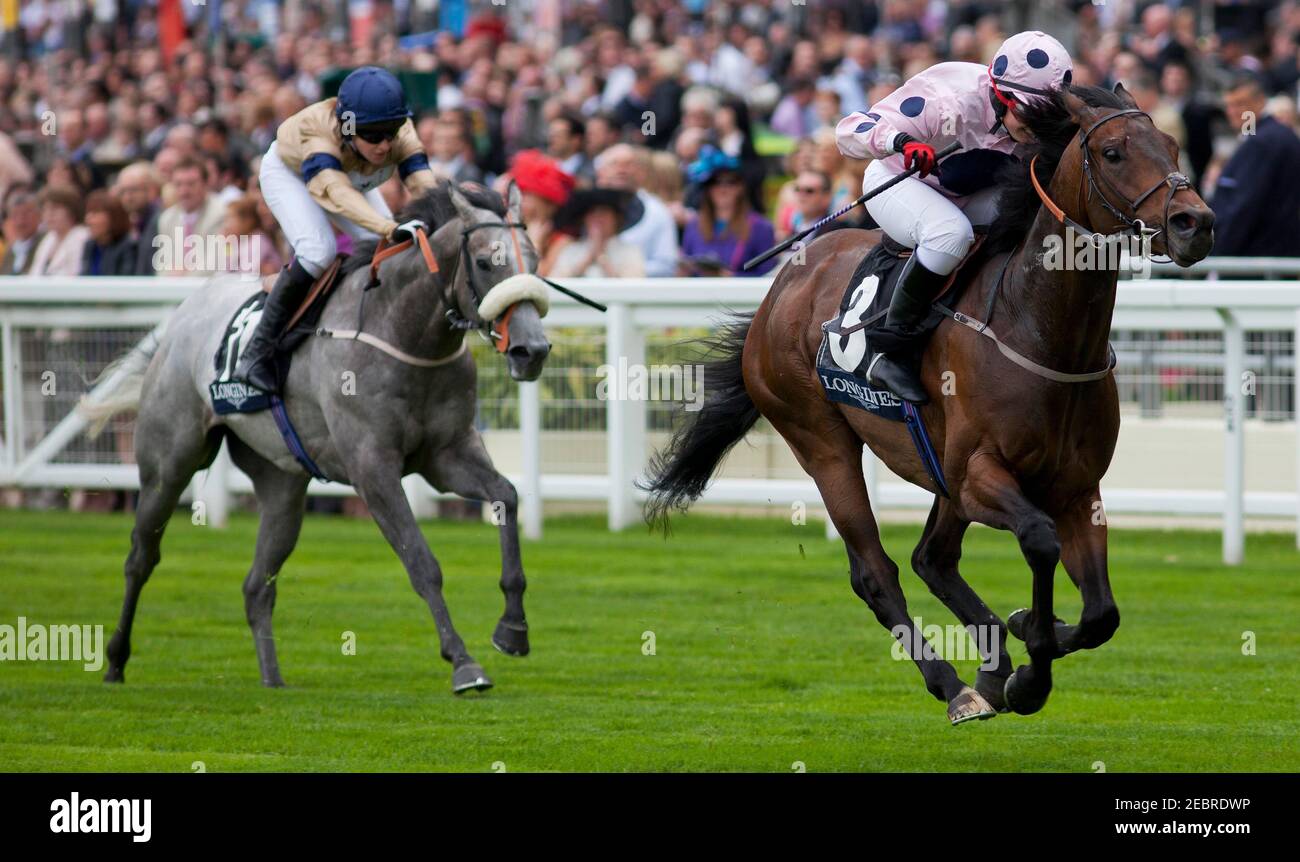 Hayley king hi-res stock photography and images - Alamy