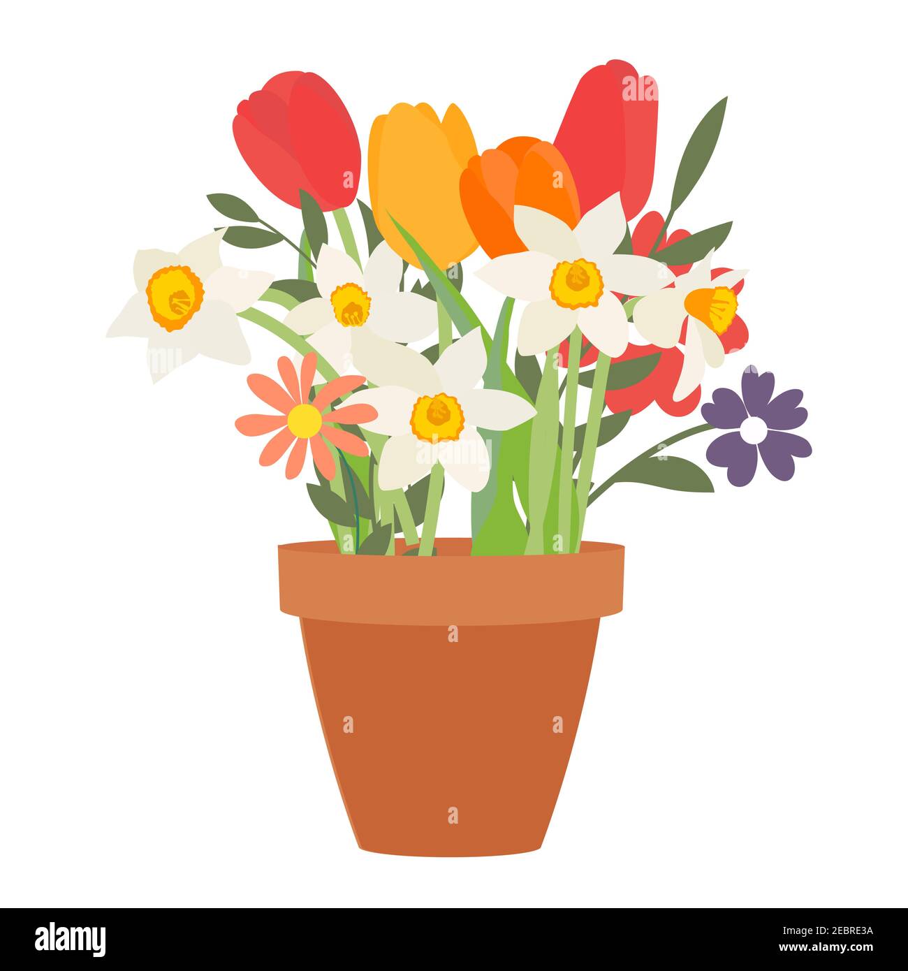 Bouquet of spring flowers tulips and daffodils. Vector Illustration ...