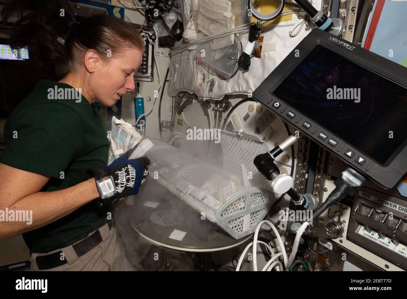 Shannon walker hi-res stock photography and images - Alamy