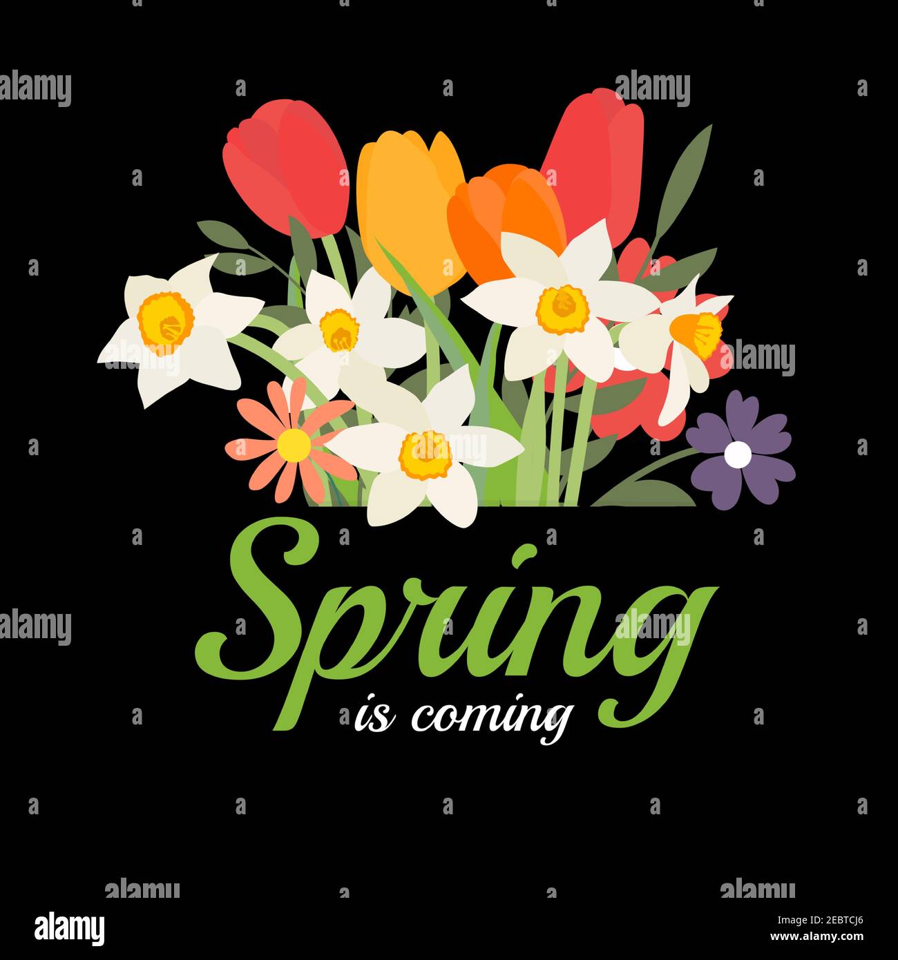 Spring is coming background with Bouquet of spring flowers tulips and ...