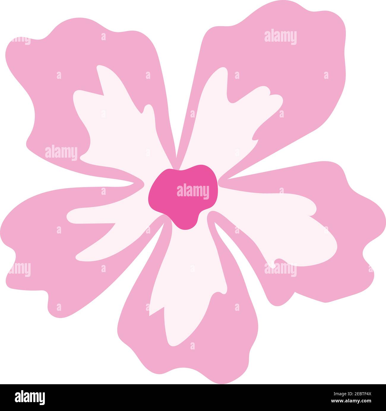 sunflower with a pink color Stock Vector Image & Art - Alamy