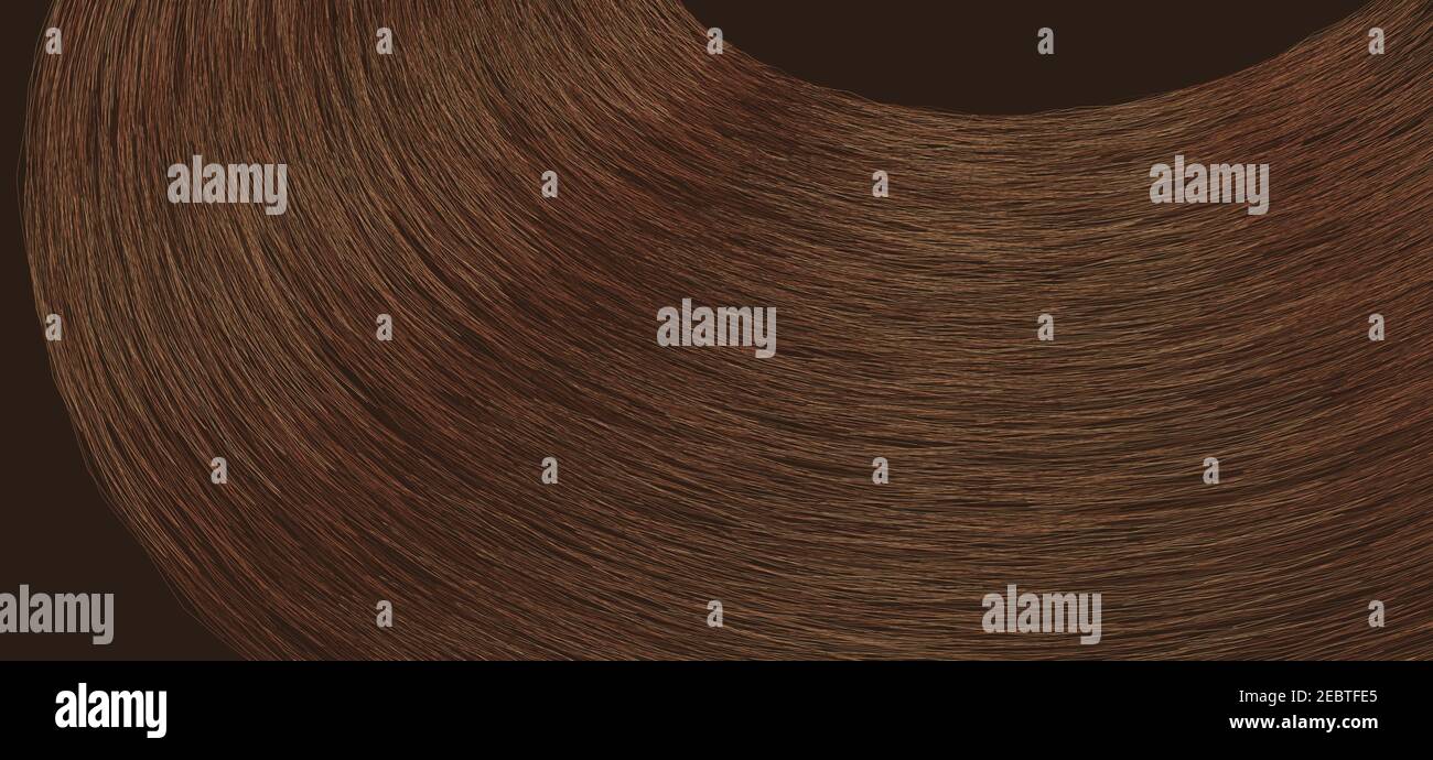 Colour hair brown Stock Vector Images - Alamy