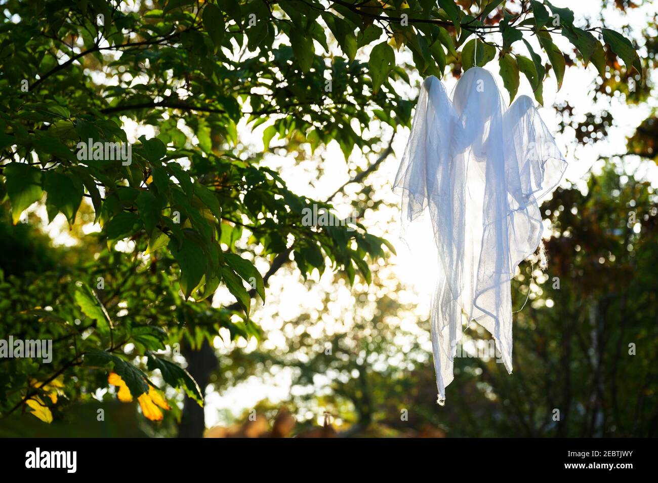 Bedsheet ghost hi-res stock photography and images - Alamy