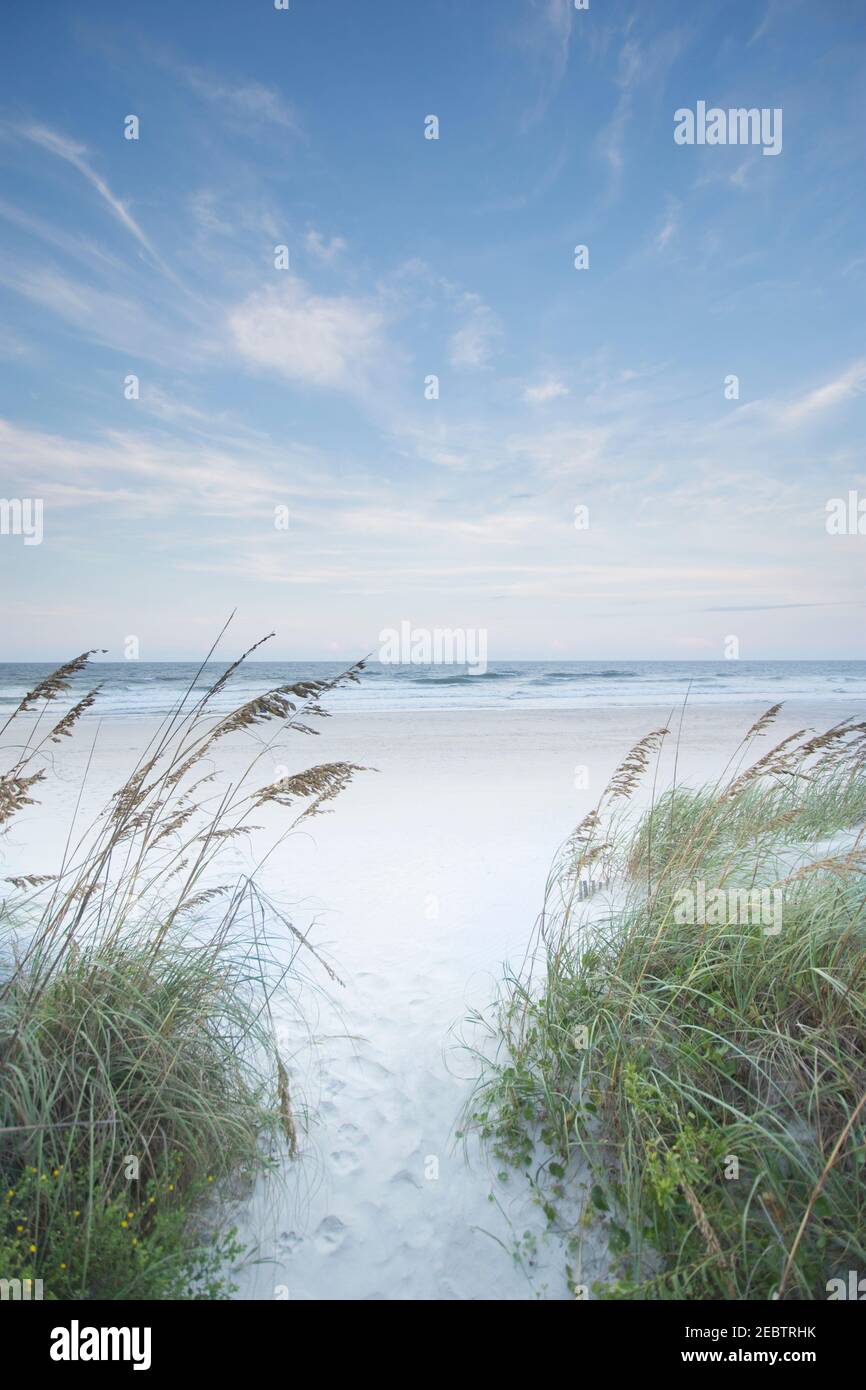 Usa north carolina path hi-res stock photography and images - Alamy