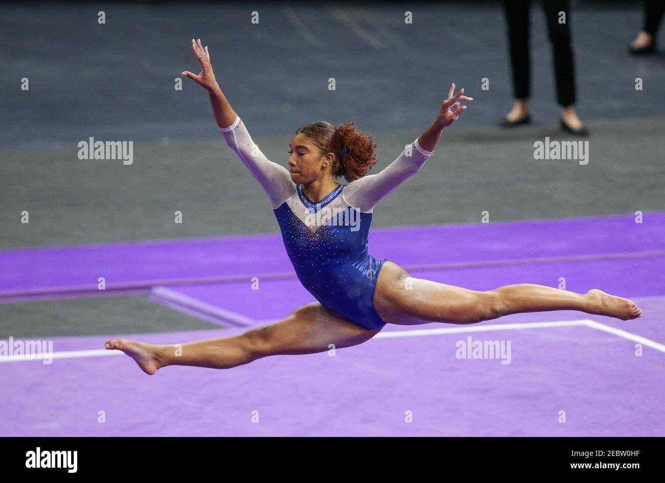 Florida gators gymnastics hi-res stock photography and images - Alamy