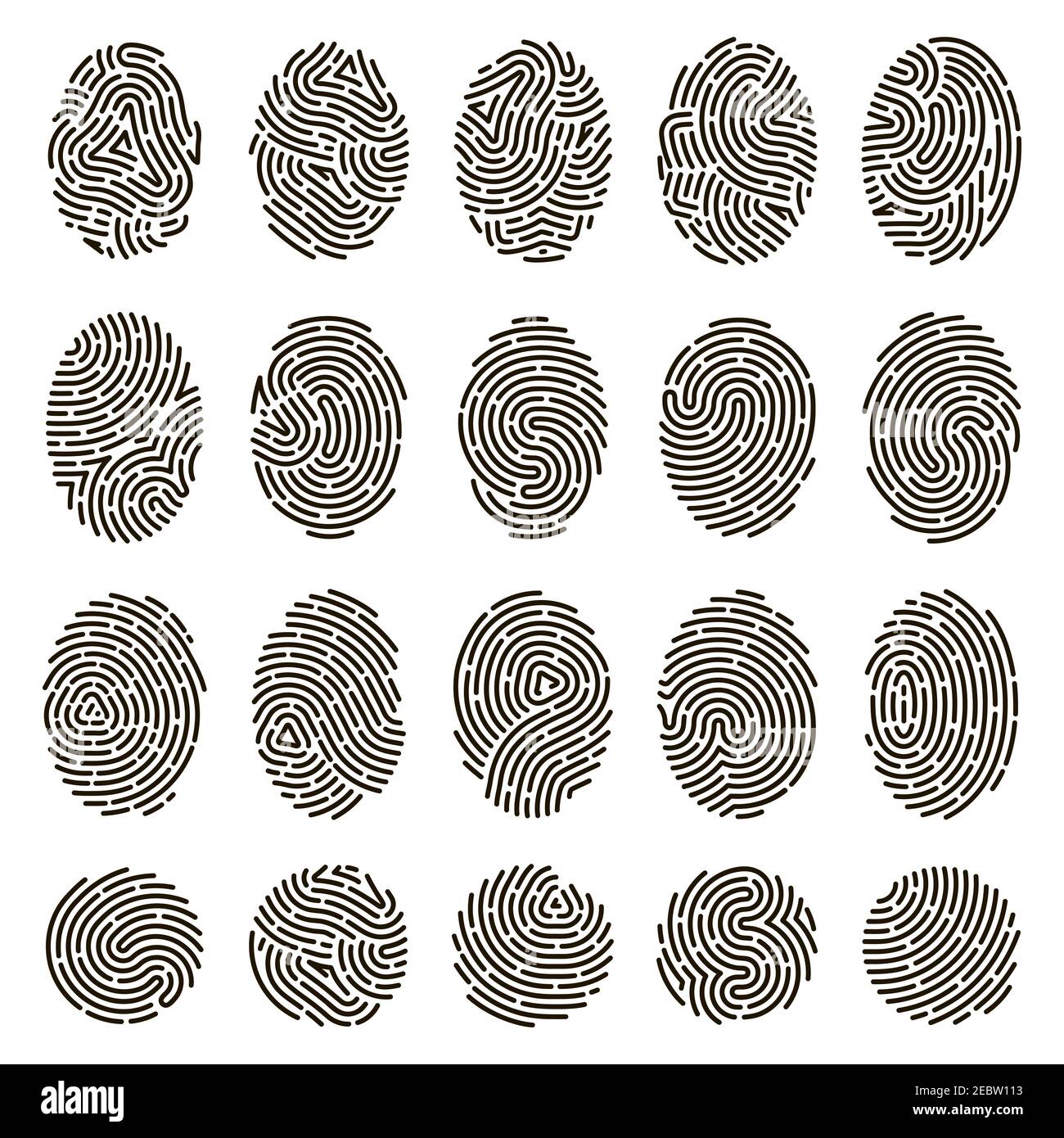 Fingerprint identification. Biometric human fingerprints, unique thumb ... Fingerprint identification. Biometric human fingerprints, unique thumb ...