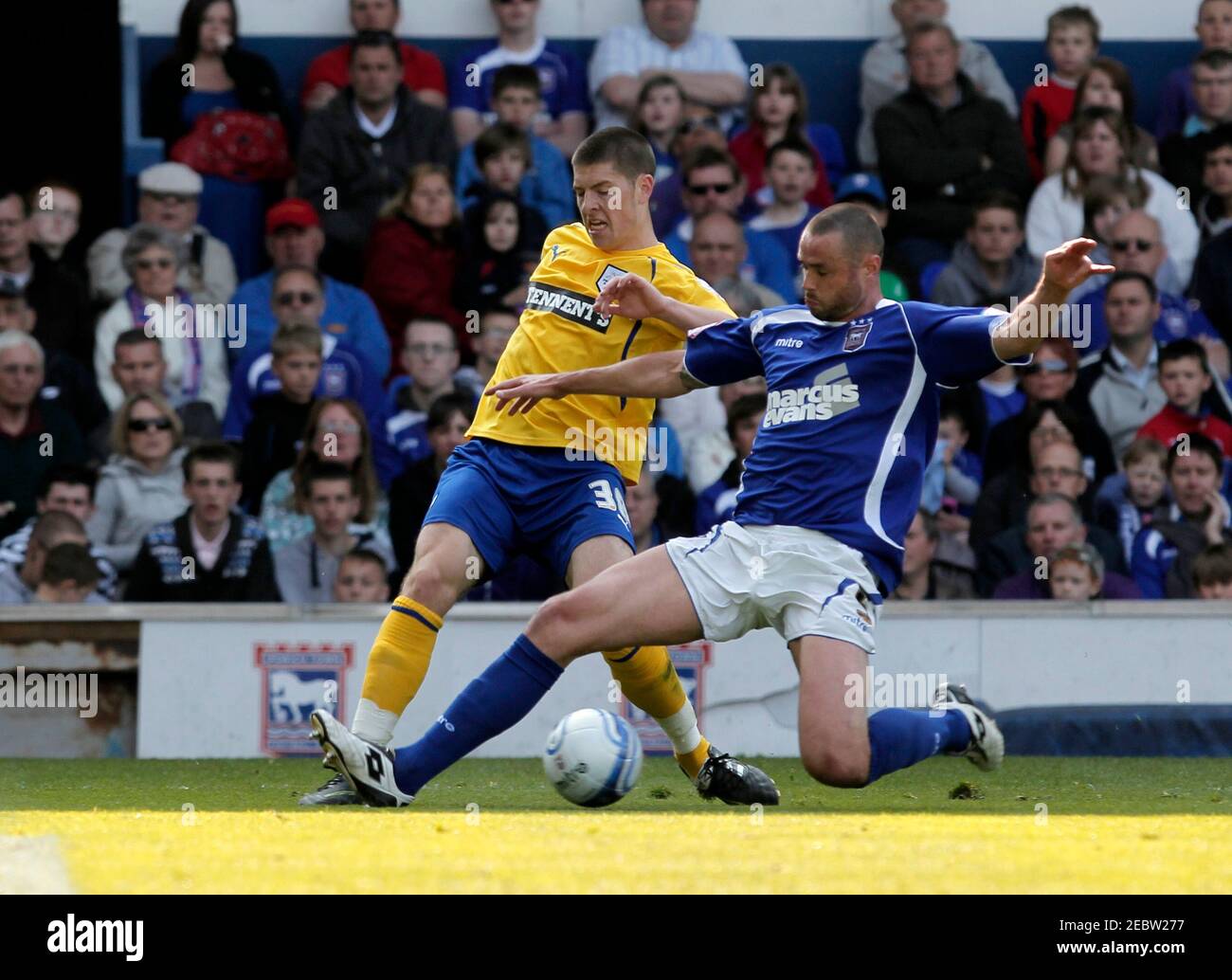 Damien marsh hi-res stock photography and images - Alamy