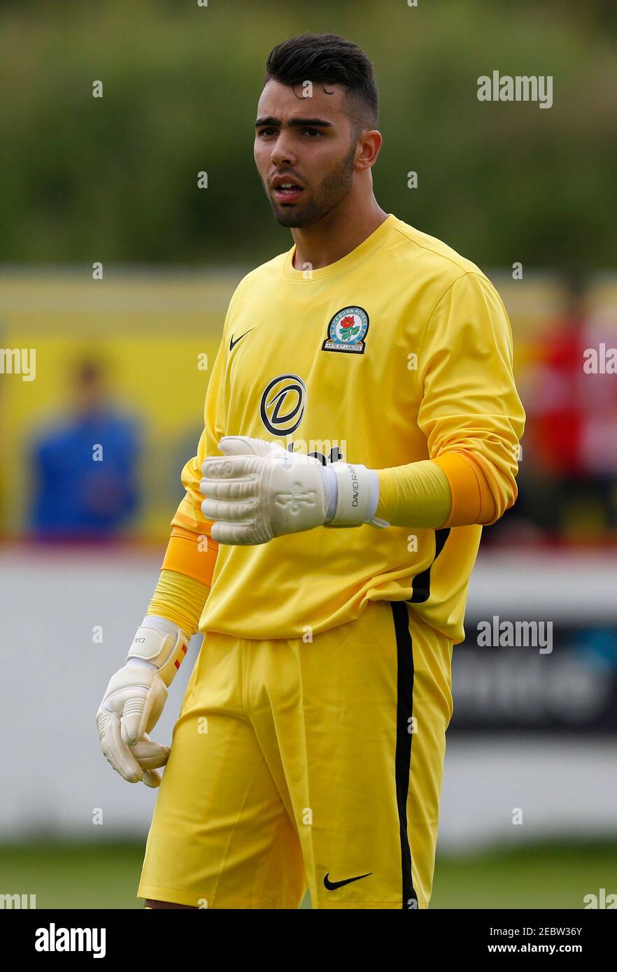 David raya blackburn hi-res stock photography and images - Alamy