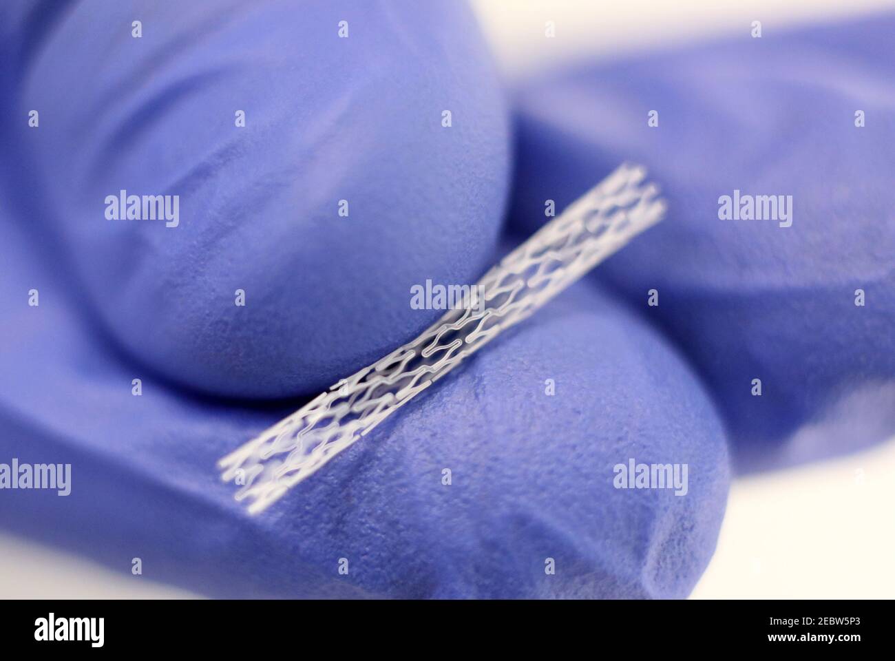 FILED - 20 August 2020, Mecklenburg-Western Pomerania, Warnemünde: At ...