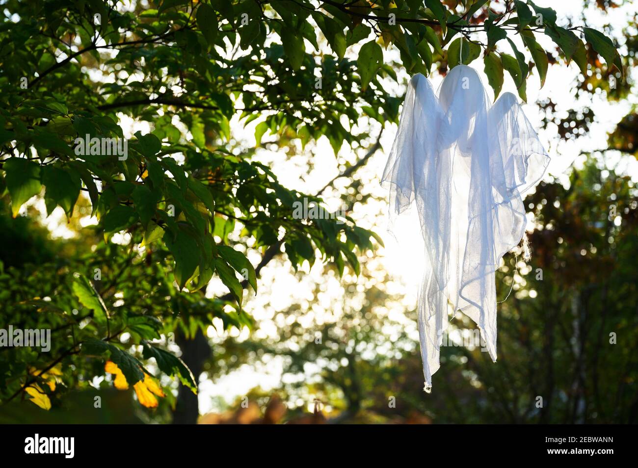 Ghost costume tree hi-res stock photography and images - Alamy