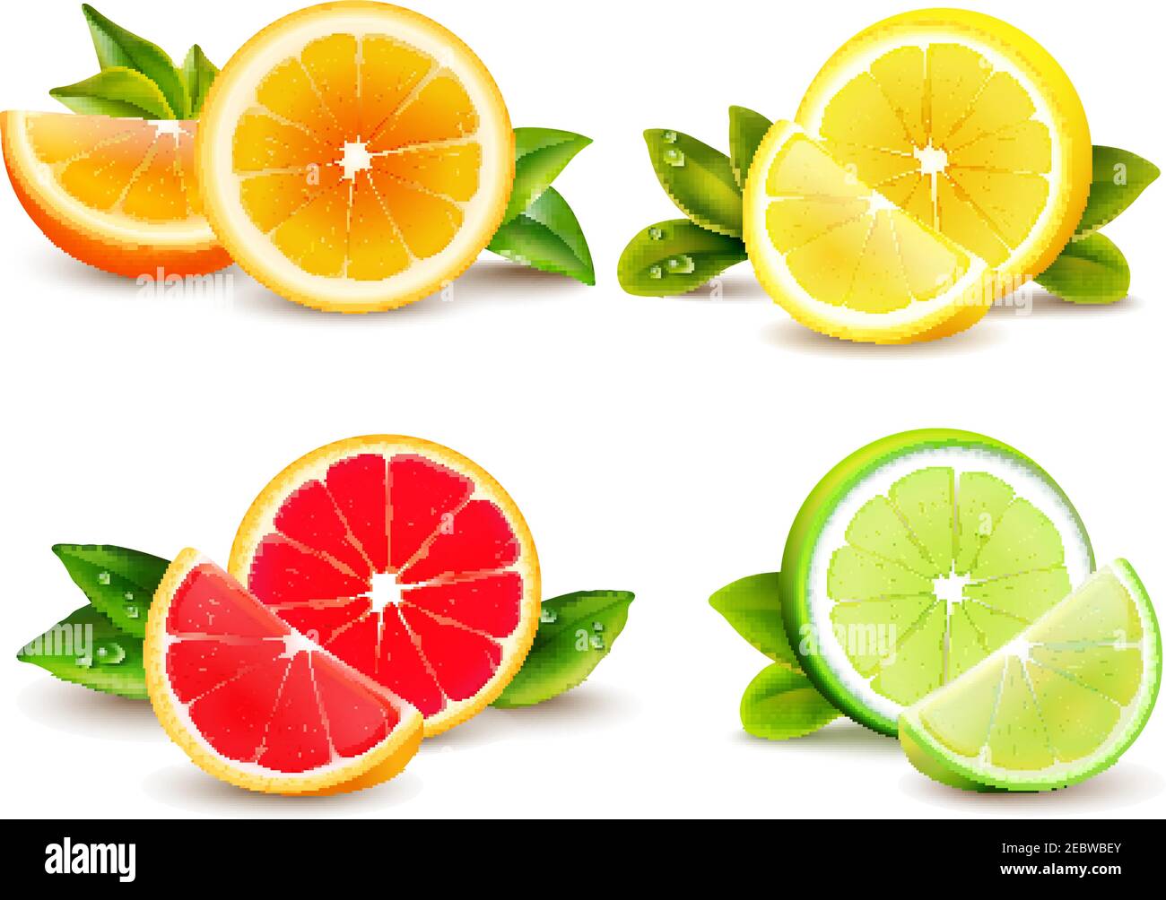 Blood orange segments Stock Vector Images - Alamy