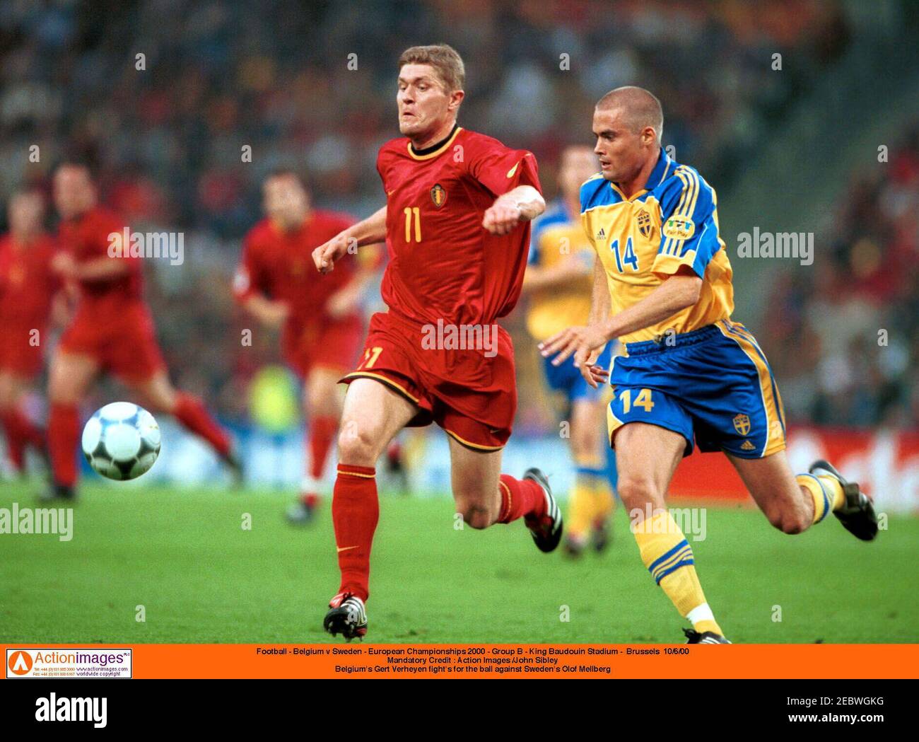 Belgiums gert verheyen hi-res stock photography and images - Alamy