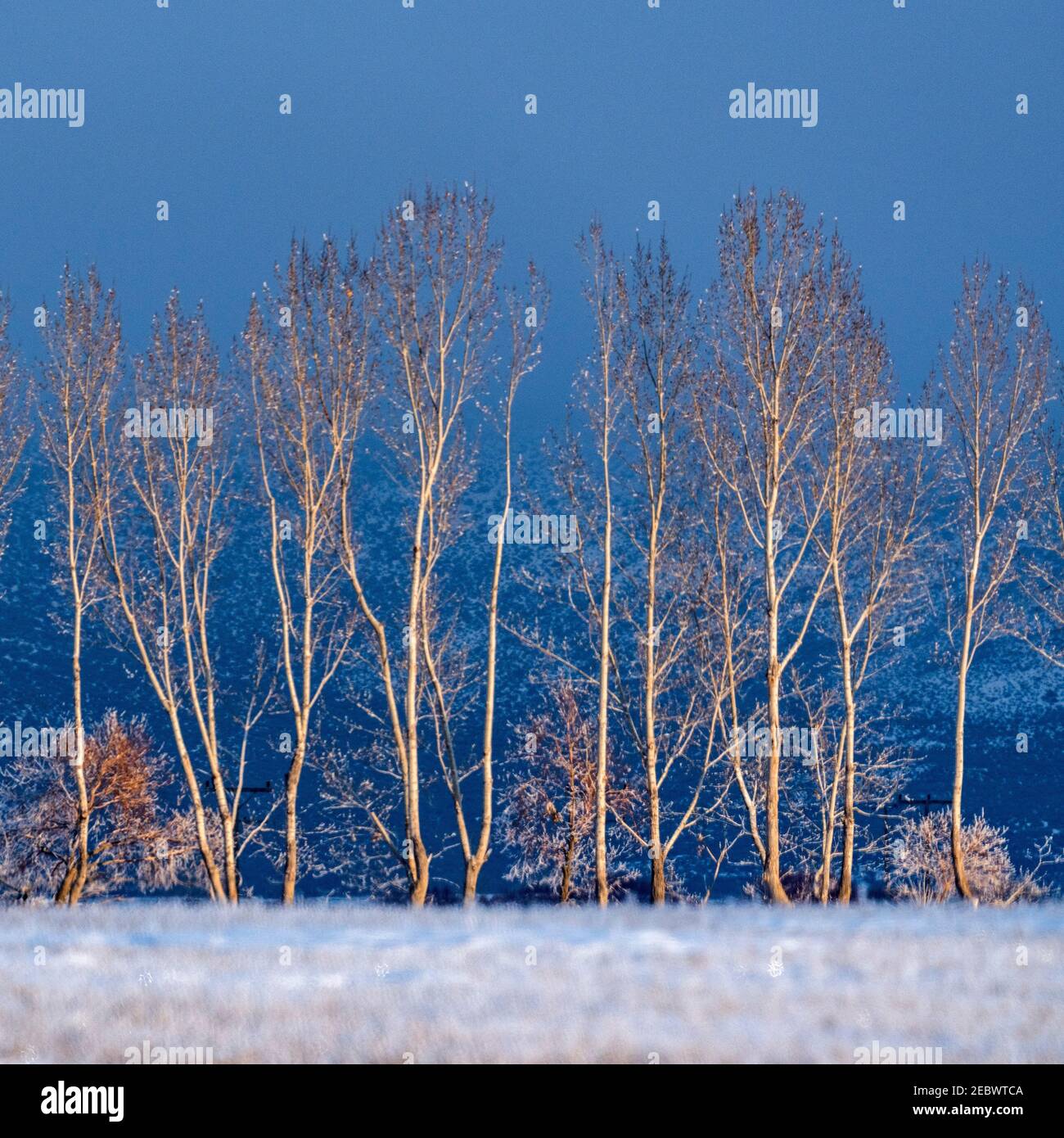 Urban winter landscape hi-res stock photography and images - Alamy