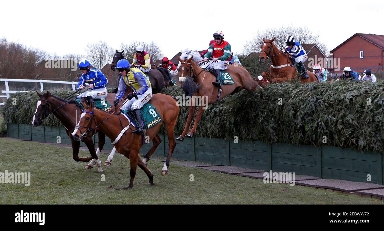 Horse put down aintree hi-res stock photography and images - Alamy
