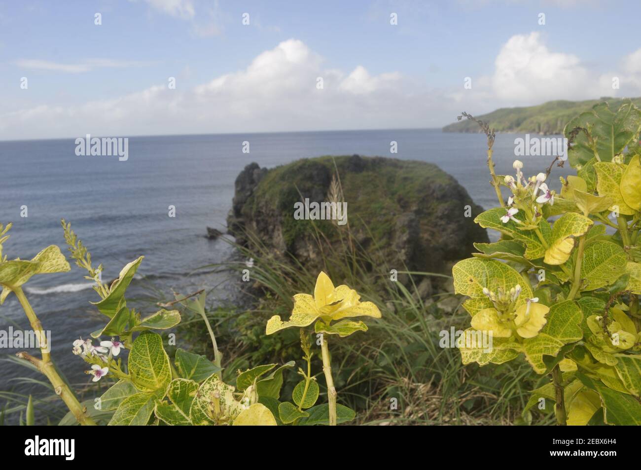 Sea definition hi-res stock photography and images - Alamy