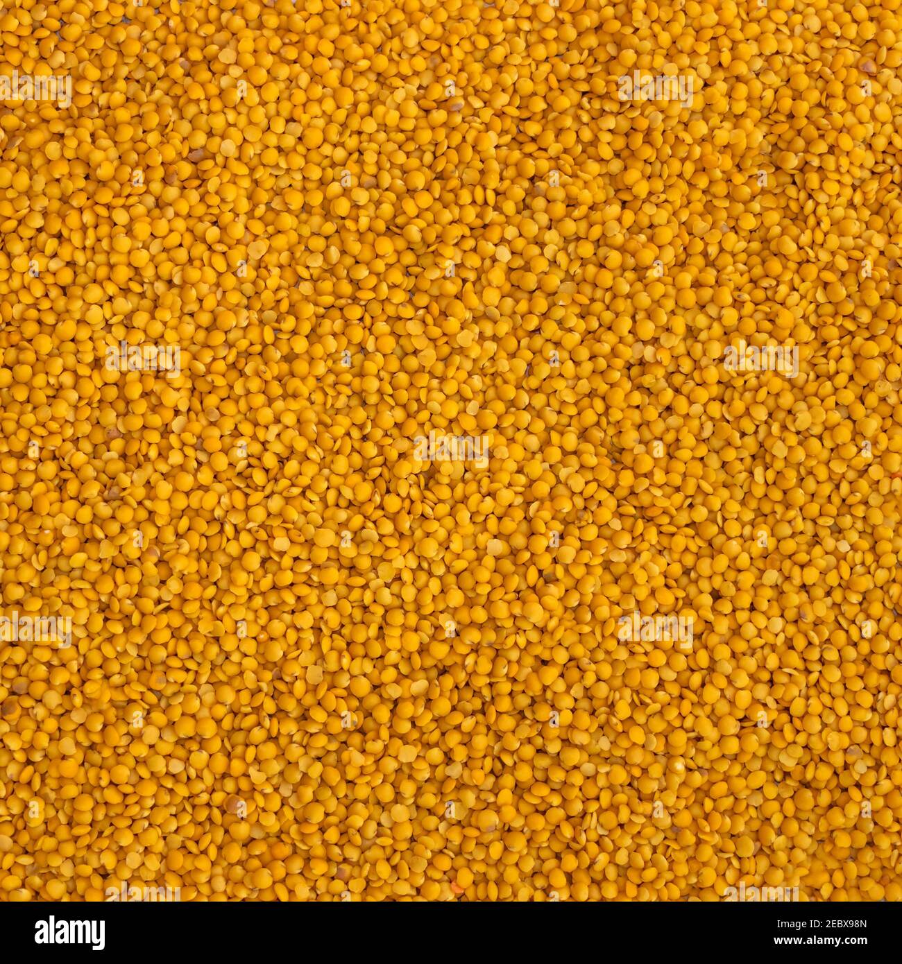 Traditional Turkish domestic yellow Lentil. Lentil background. Flat ...