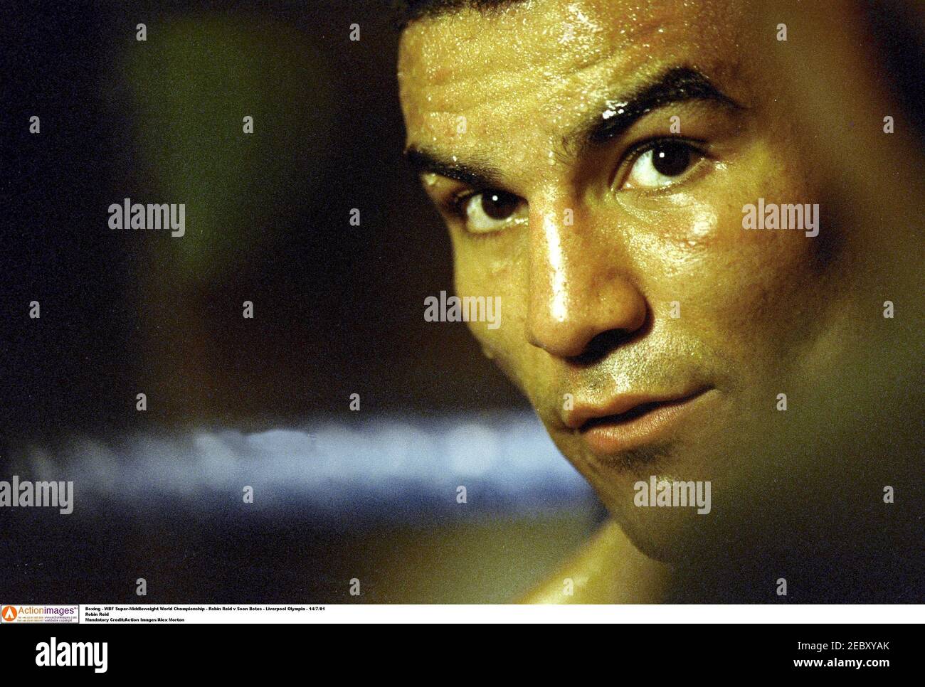 Wbf super middleweight championship hi-res stock photography and images ...