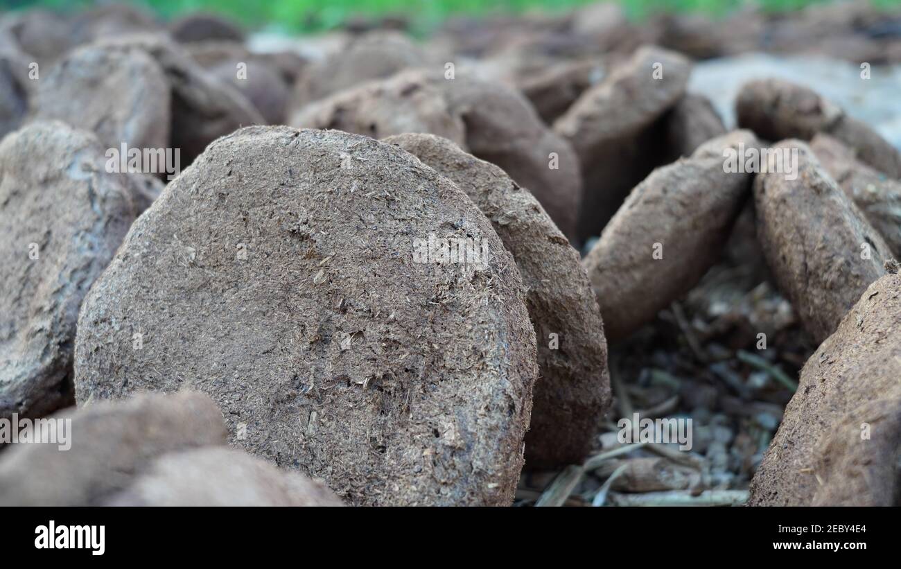 Fuel enrichment hi-res stock photography and images - Alamy