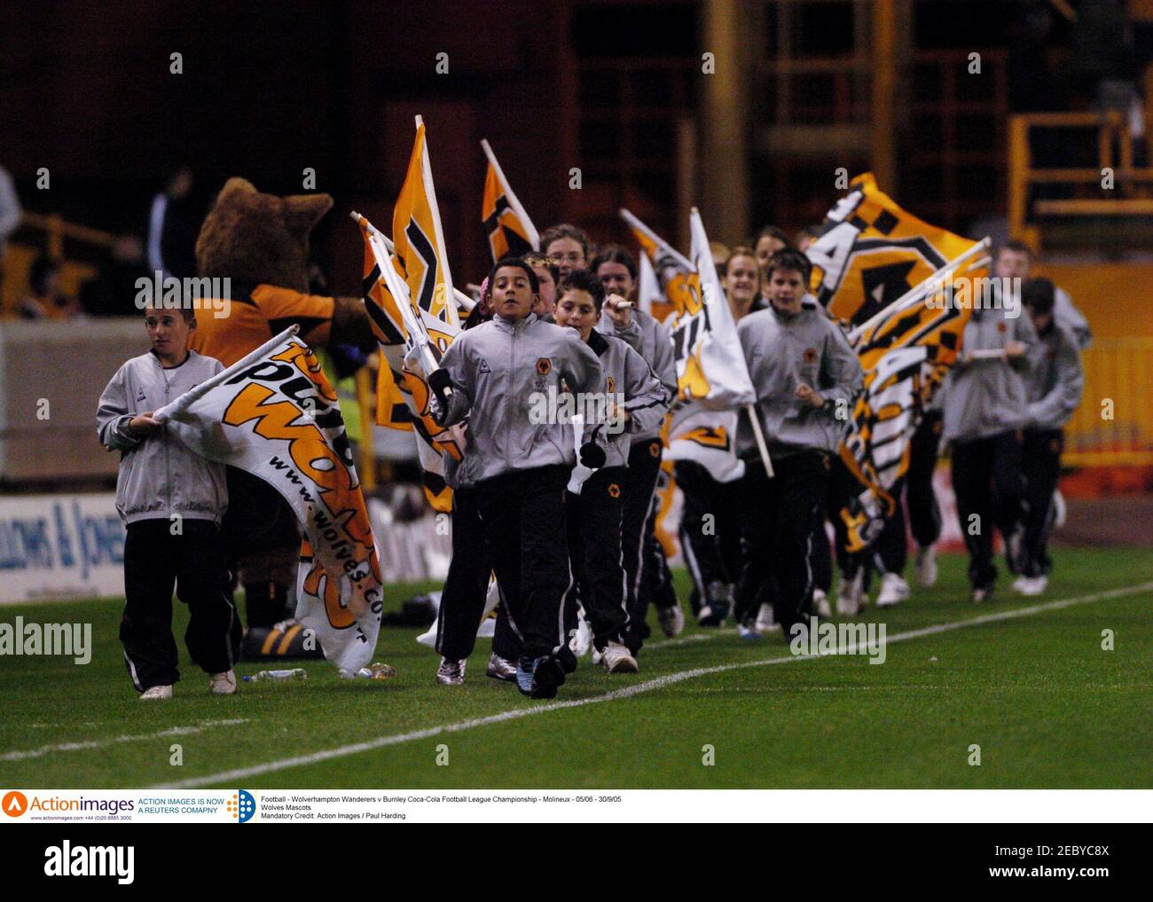 Wolverhampton wolves mascots hi-res stock photography and images - Alamy
