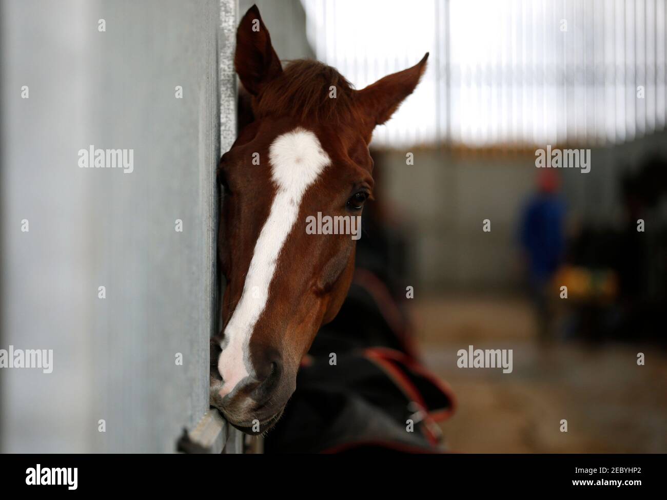 Native river horse racing hi-res stock photography and images - Alamy