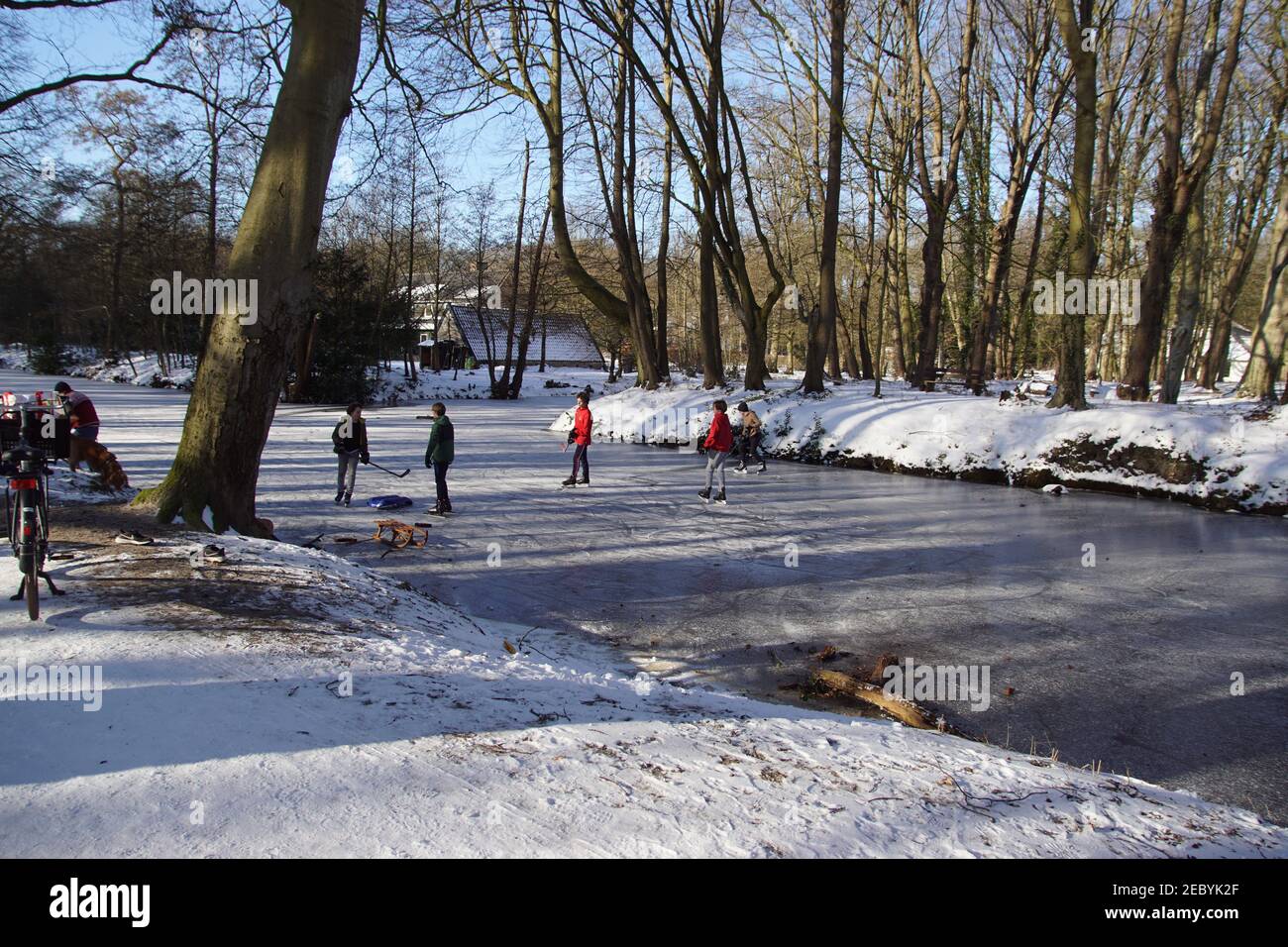 Boys play ice hockey on frozen water at the edge of a forest near the ...