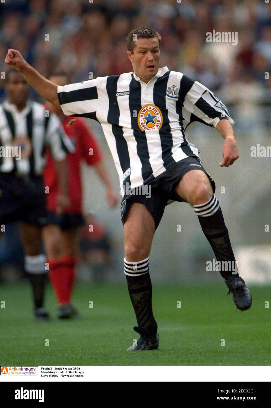 Steve Howey High Resolution Stock Photography and Images - Alamy