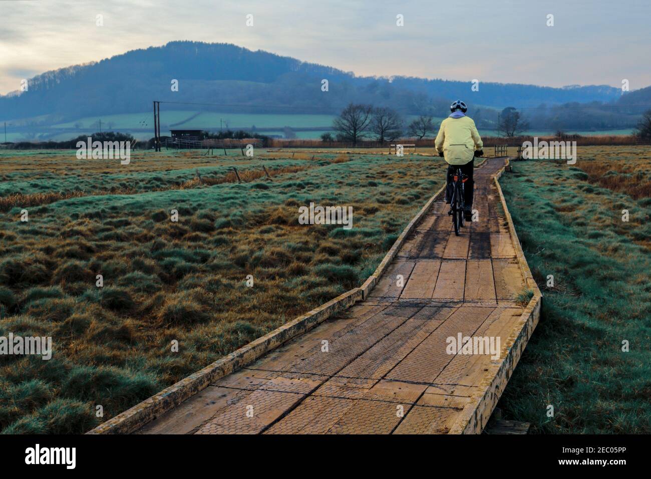 Scenic wetlands hi-res stock photography and images - Alamy