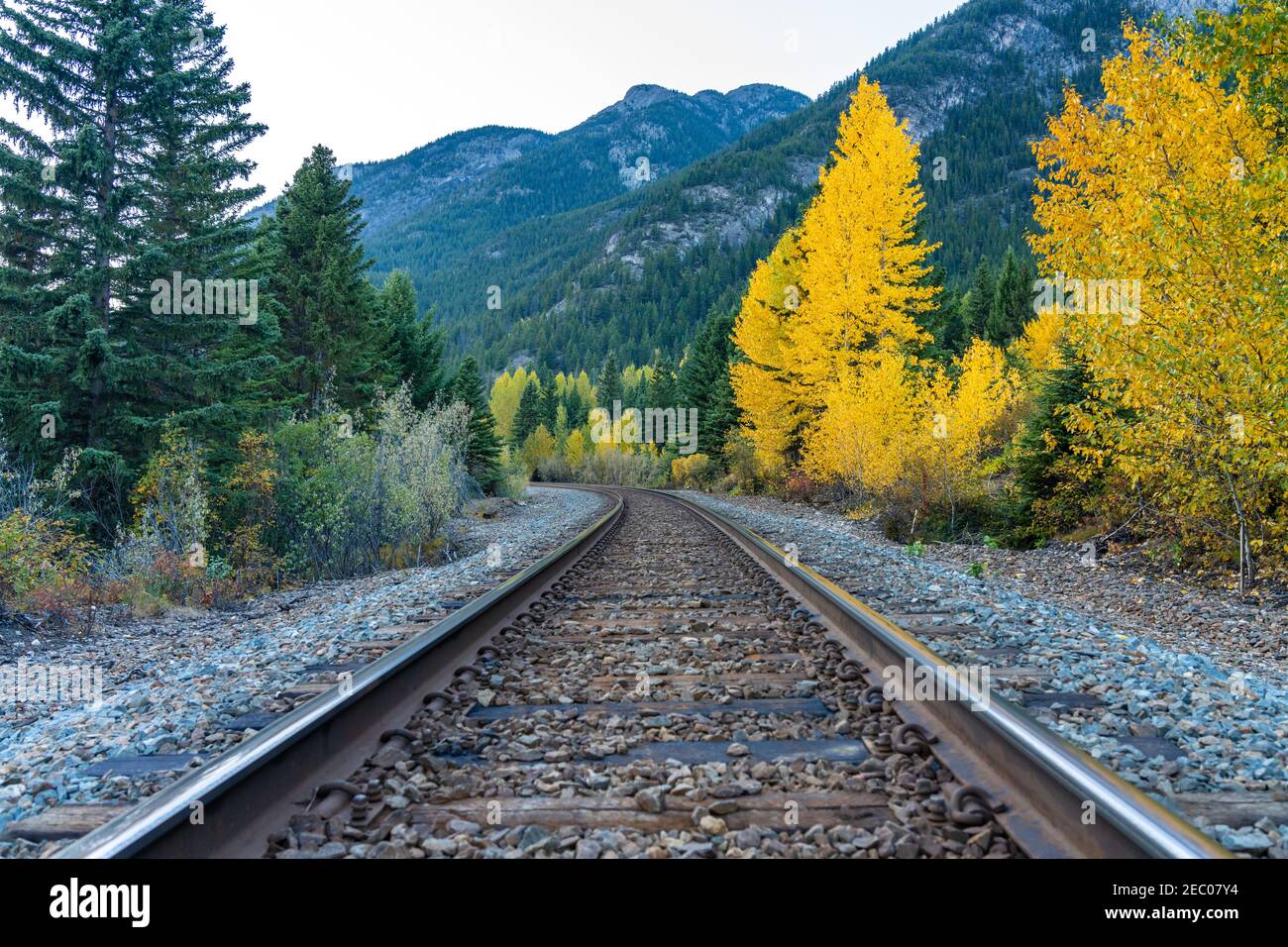 Railway scenery in autumn foliage season. Banff National Park, Canadian ...