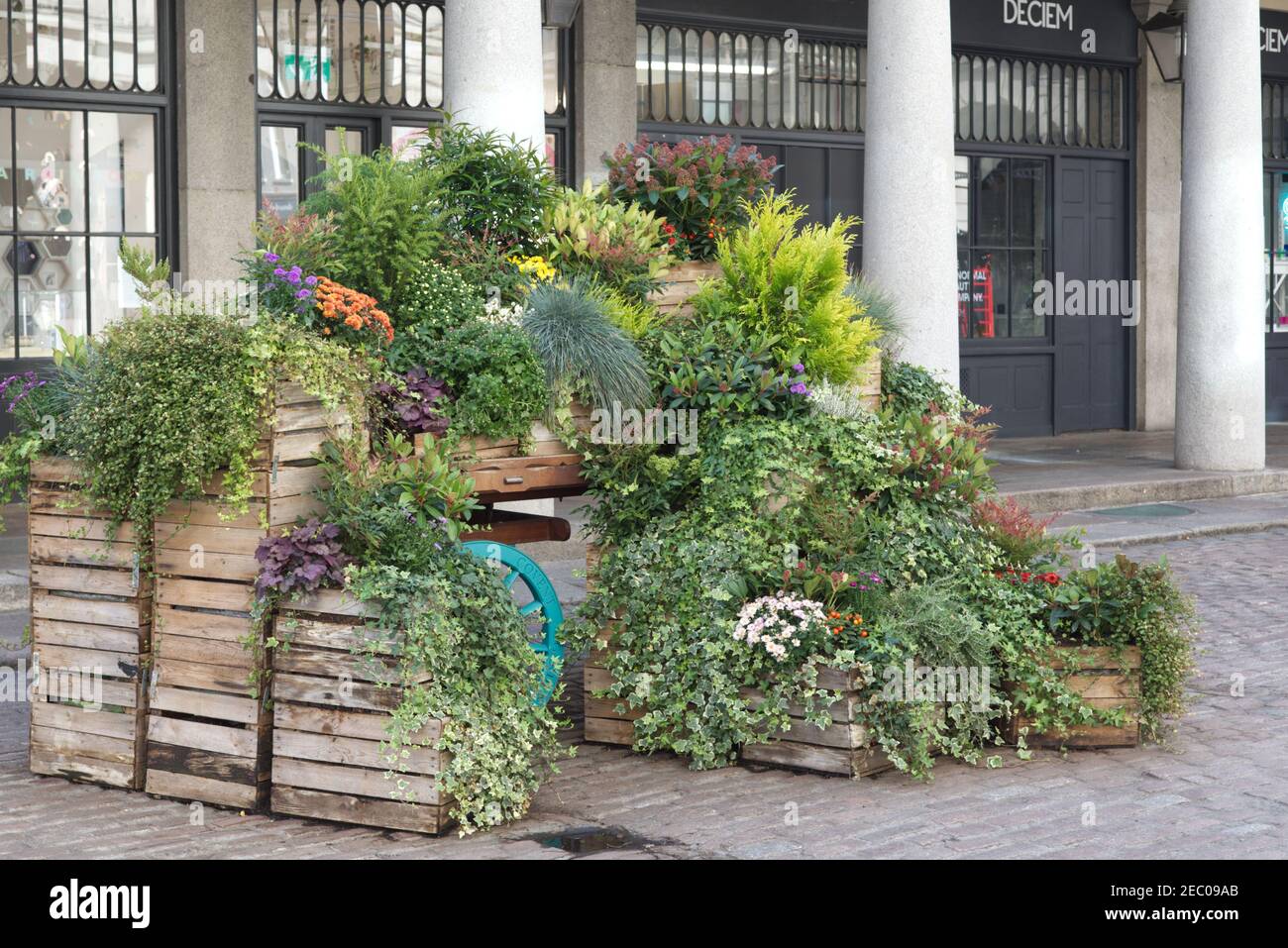 floral display in covent garden, London Stock Photo - Alamy