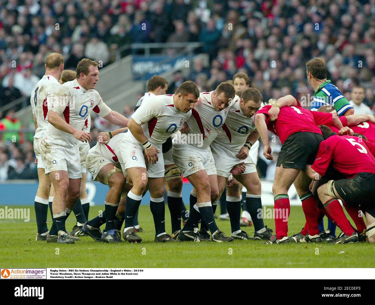 Steve trevor hi-res stock photography and images - Alamy