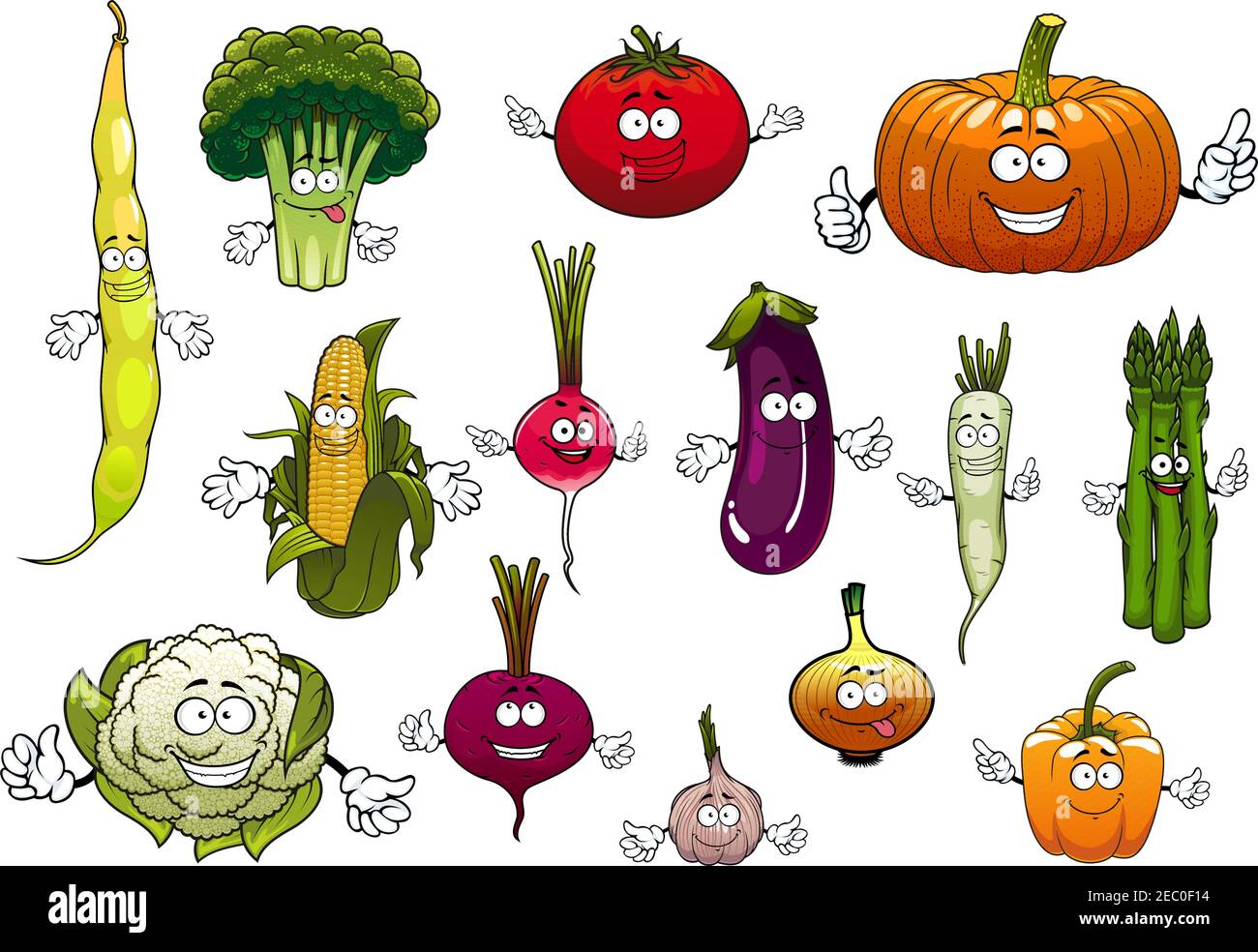 Common corn Stock Vector Images - Alamy