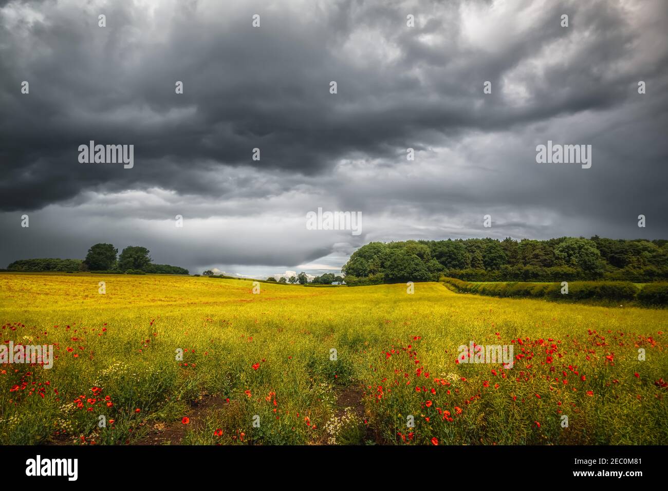 Summer scenes hi-res stock photography and images - Alamy