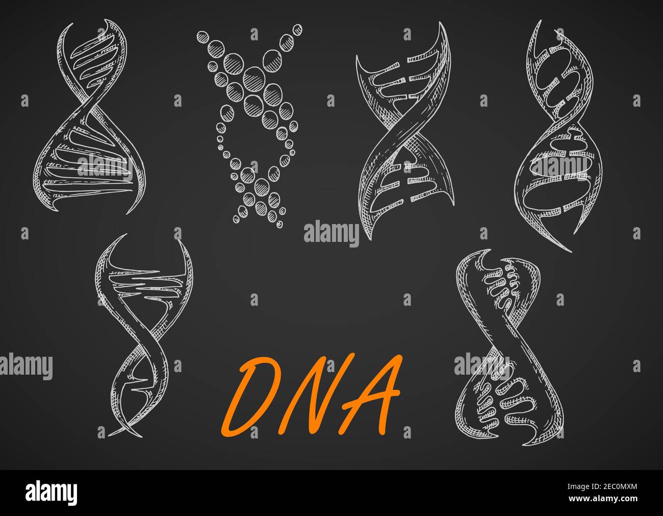 Helix models Stock Vector Images - Alamy