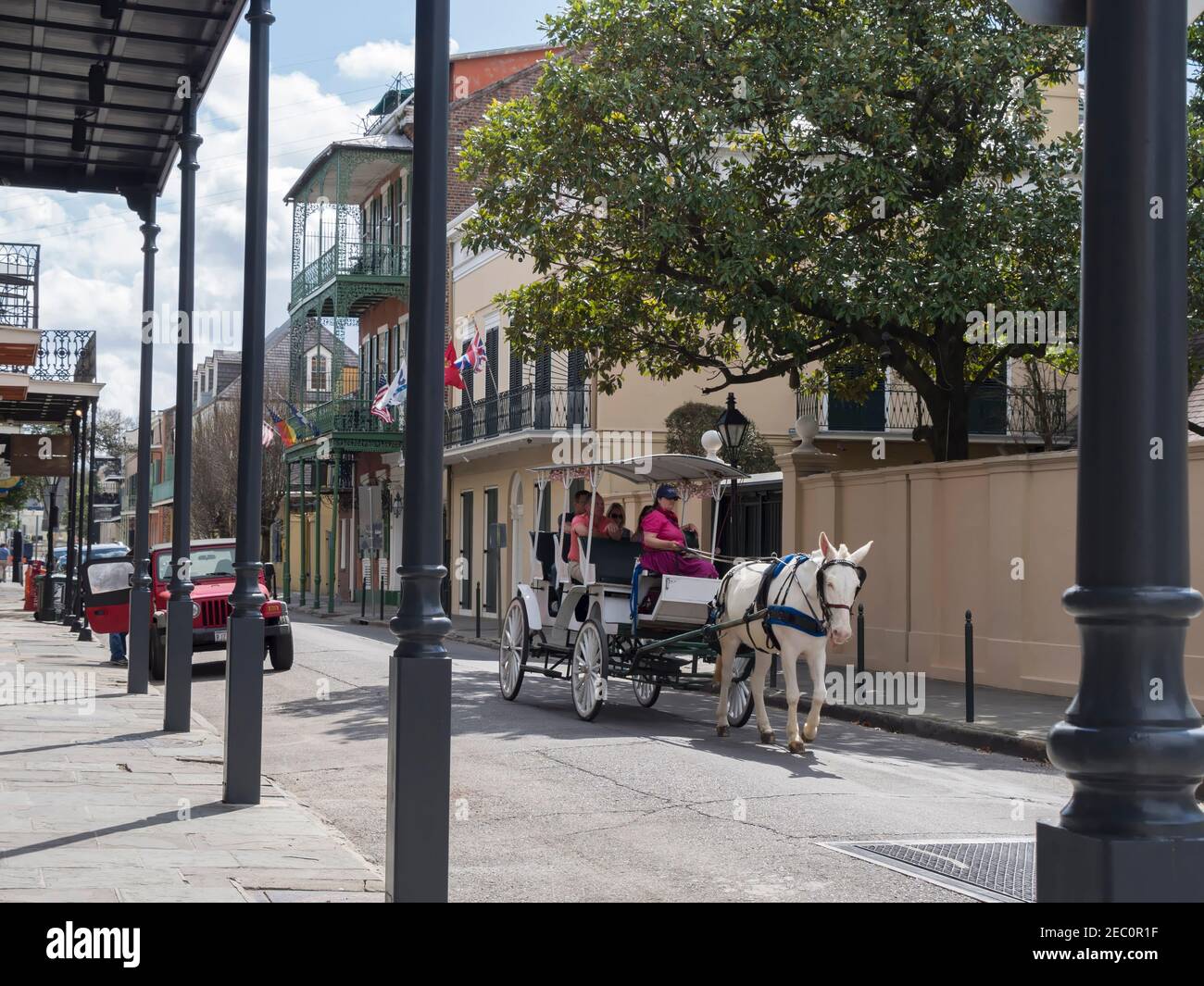 Mule carriage hi-res stock photography and images - Alamy