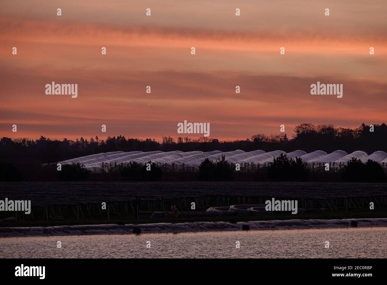 Tuesley Farm, Godalming. 13th February 2021. A bitterly cold start to ...