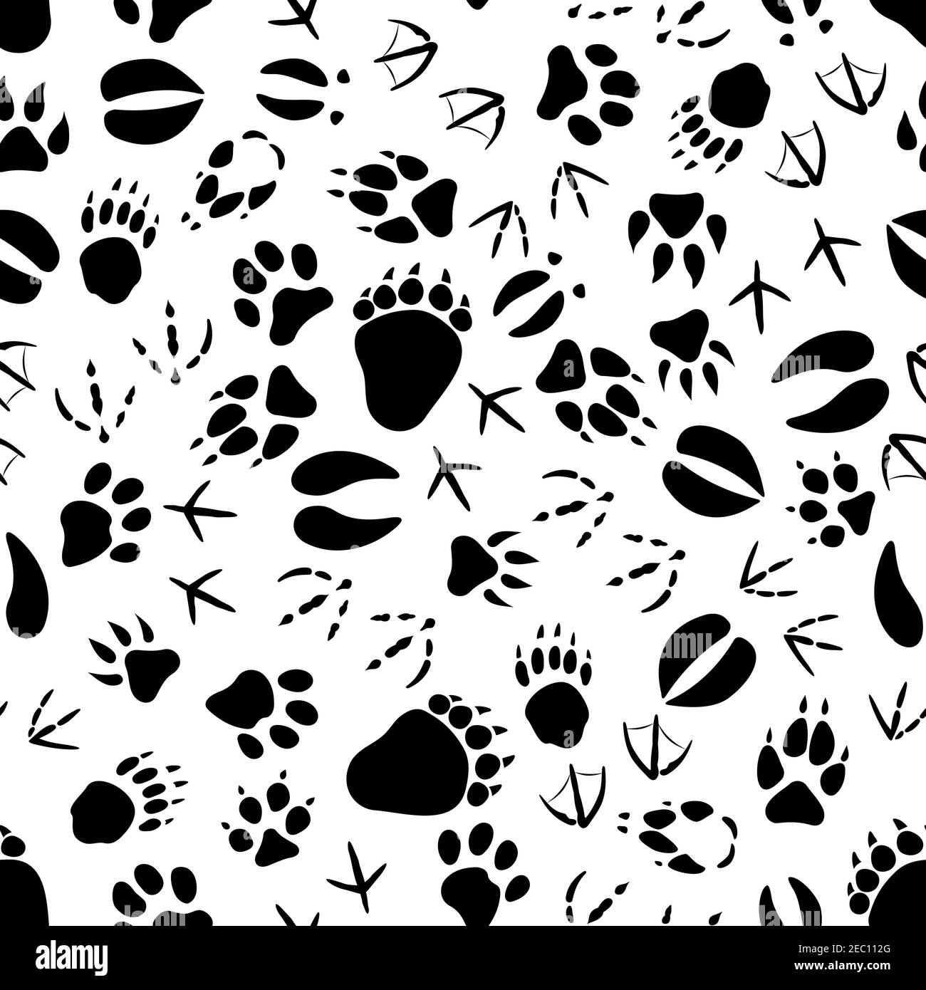 Black And White Animal Patterns