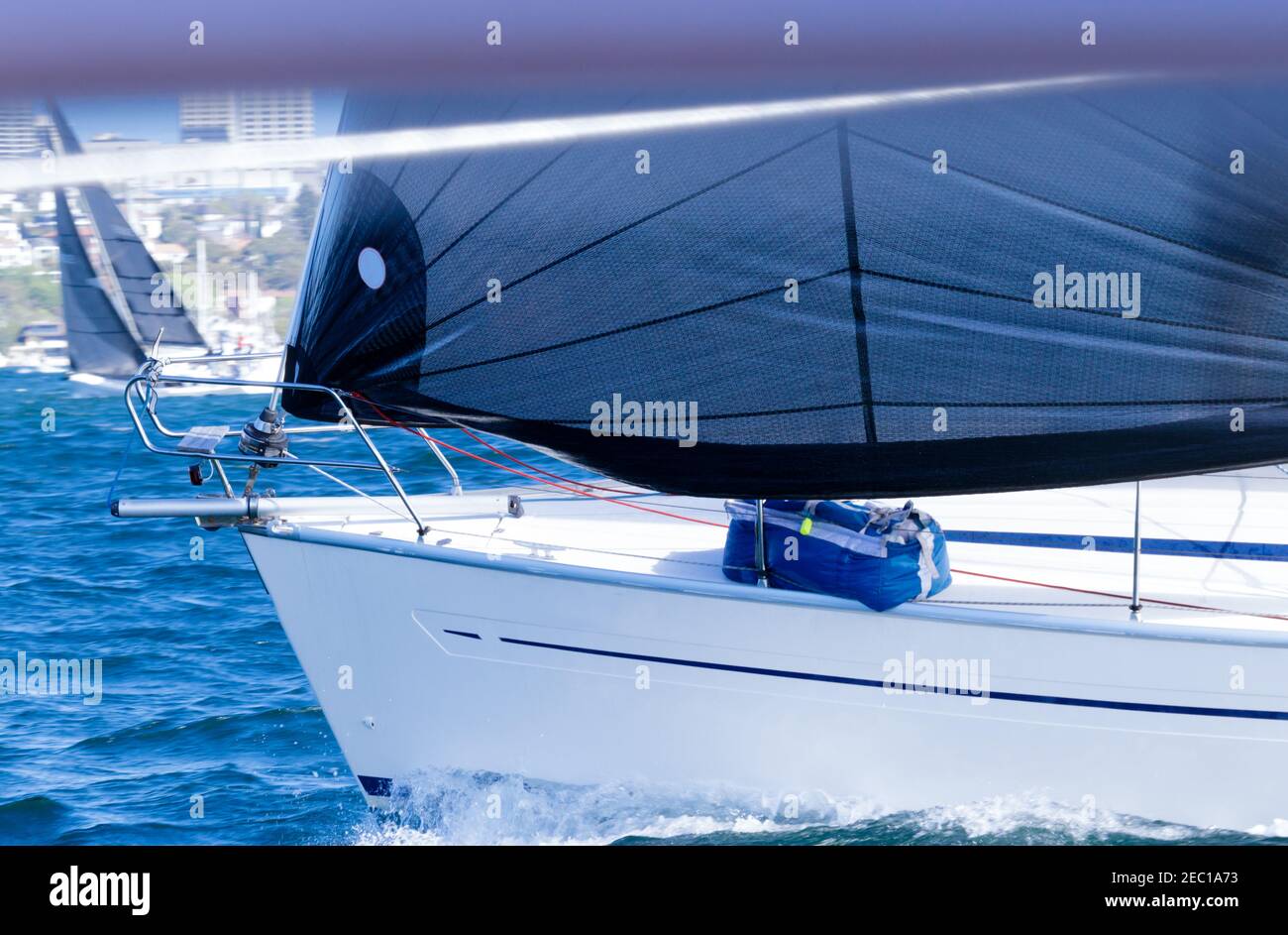 A fast-moving 38-foot sailboat sails through choppy waters in Sydney ...